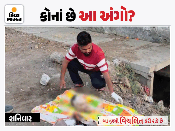 4 pieces of human body found in 3 days in Bharuch
