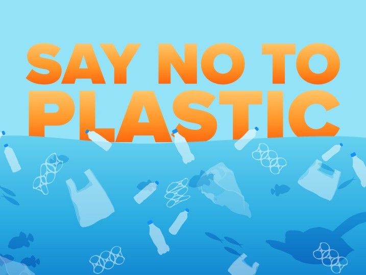 Big campaign in Tapi district to eliminate plastic pollution ...