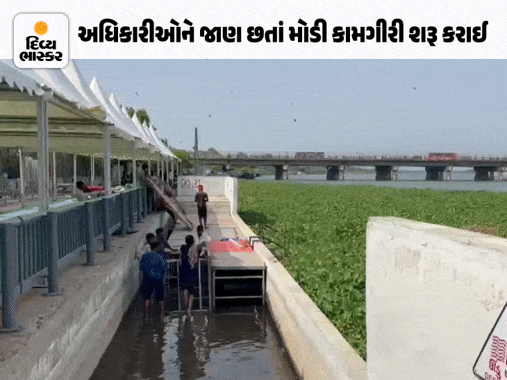 Sabarmati River Clean-Up Fails; Water Hyacinth Before Jagannath Jal Yatra