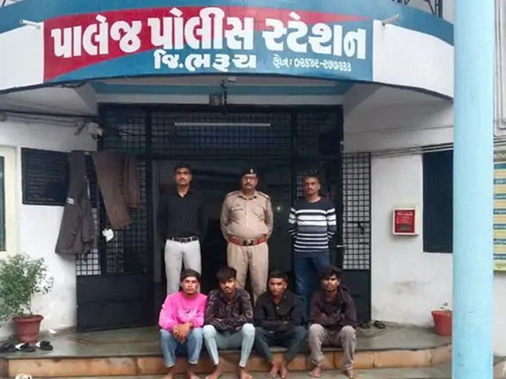 Five smugglers arrested for stealing goods from Suyog Company in Palej ...