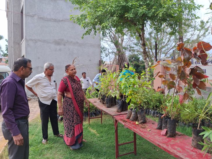 Free distribution of 2000 trees and plants at Sai Baba Temple in Anand