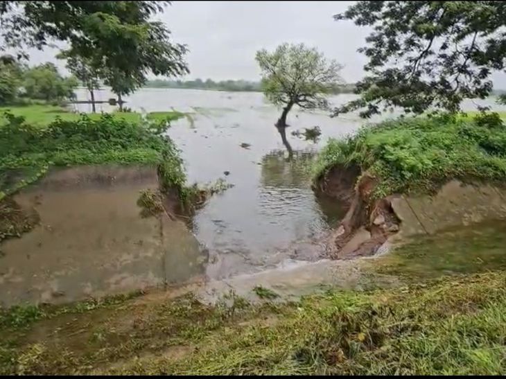 Kadiyadra Village Matar Taluka Mahi Irrigation Canal Breached; Crops ...