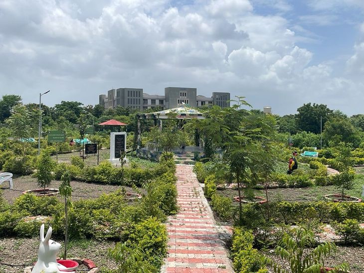 Botad District Service Sadan Urban Forest Nature Greenery | બોટાદ ...