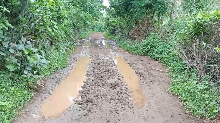 Even though the road was not built in Baydi village under MGNREGA, it ...