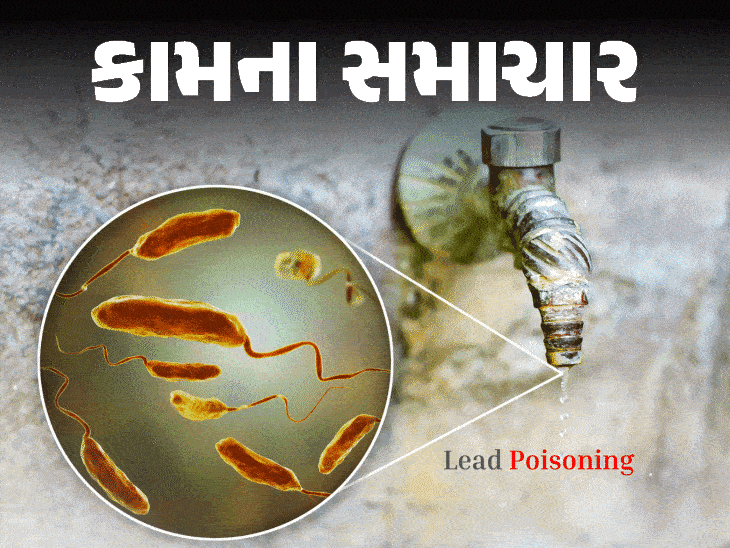 Old Aluminum Cooker Lead Poisoning: Symptoms, Health Risks, Safety Tips ...