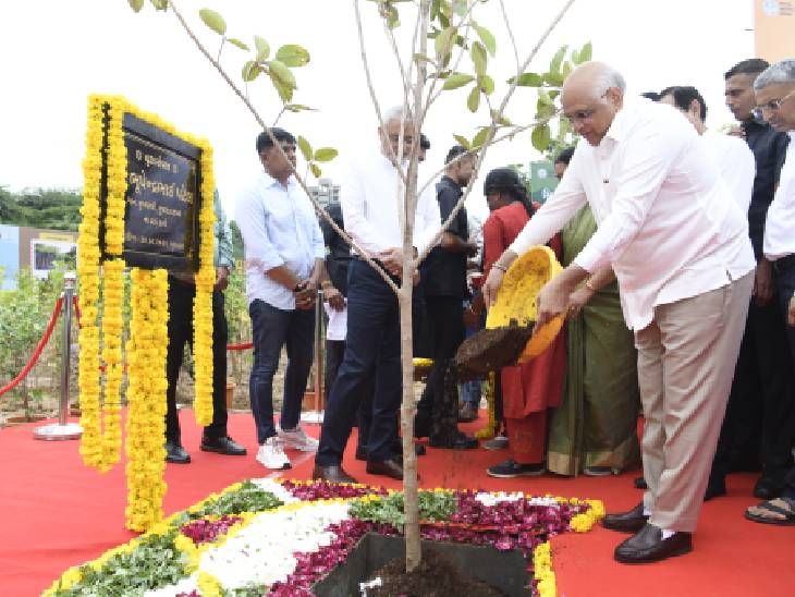 2 million trees planted under Mission Four Million Trees