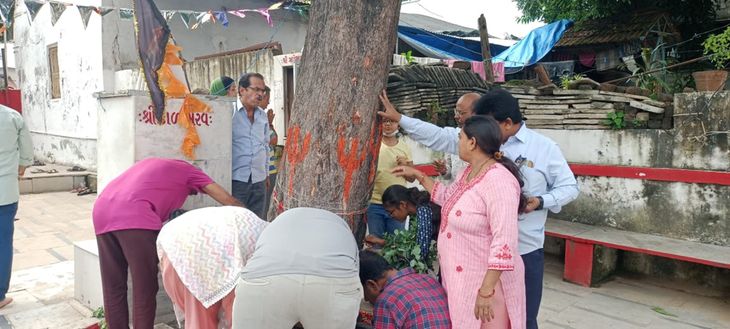 Tradition of peeling the bark of a Sami tree to pay off debts | પરંપરા ...