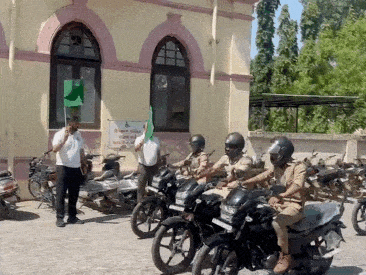 Red alert to prevent 'wildlife poaching' and 'lion shows'