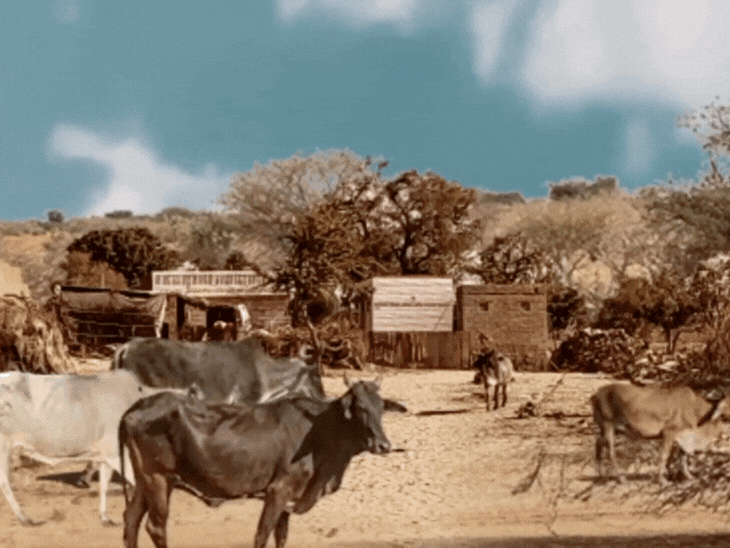 Gujarati Film Jeev Motion Poster Released: Veljibhai Story, Gau Mata Karuna; Dharmendra Gohil Lead