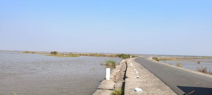 Even after 20 days of flooding, fields in 7 villages of Ghed are still ...