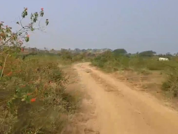 Compensatory afforestation in Teja Dimbi in lieu of 2.25 hectares of ...