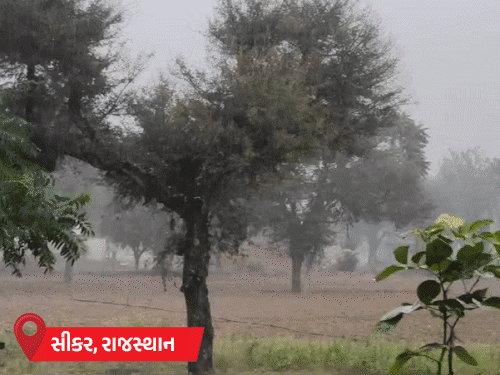 Temperature below 10 degrees in 37 cities of Rajasthan and Madhya Pradesh