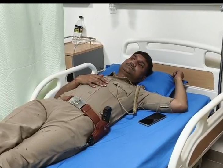 Mahuva Police Attack: PSI, GRD Injured Over Cattle Removal
