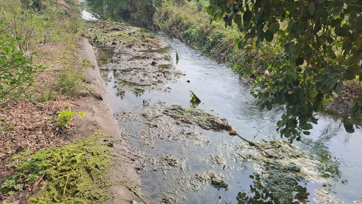 Water flow was obstructed due to non-cleaning of the silt in the minor ...