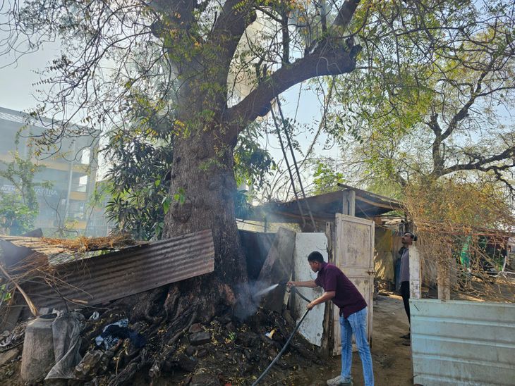 Kadi-Kalol Road Fire; Fire Brigade Controls Tree Fire | Hanuman Plaza