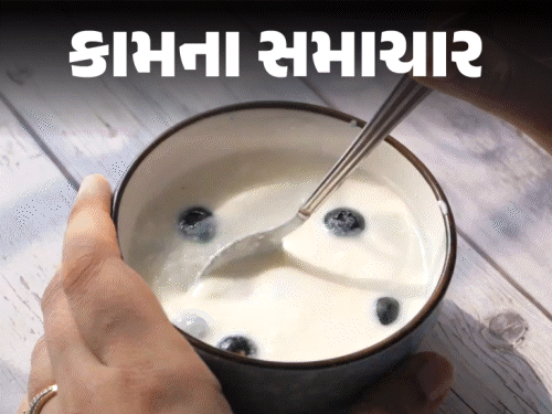 Dahi Health Benefits: Immunity, Weight Loss & BP Control | Gujarati News