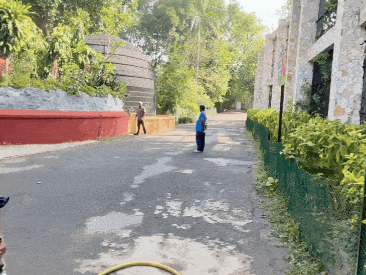 The monkey that attacked a 6-year-old child escaped after being shot ...