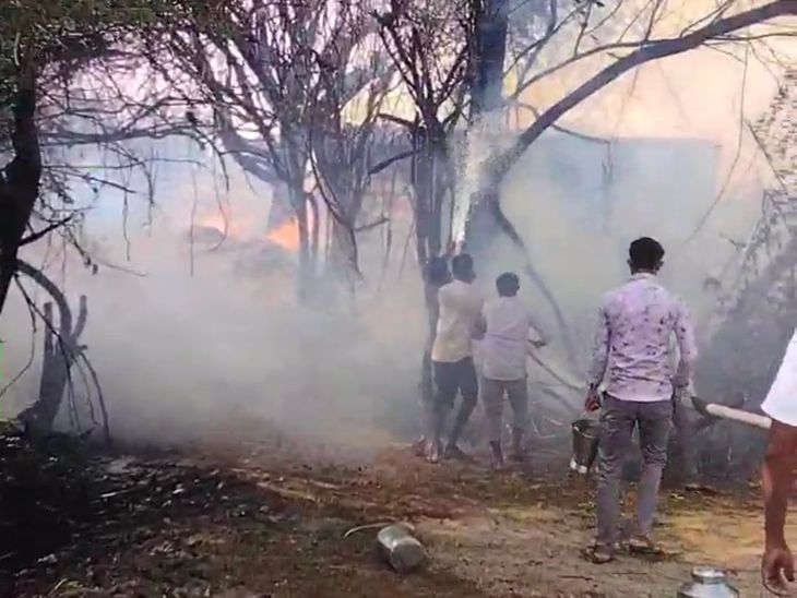 Vinchiya Fire: Cotton & Trees Burn Due to Short Circuit