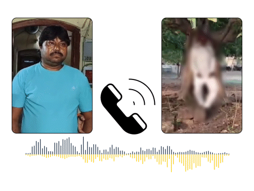 Junagadh Murder Controversy: Father Hanged; Rajput Solanki Accused ...
