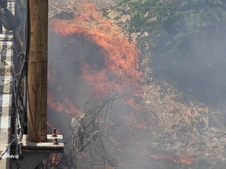 Surendranagar Bhogavo River Fire; Brigade Controls Blaze | Action Demanded
