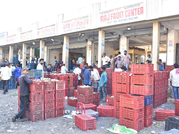 Dharampur Mango Market Buzzes; 450+ Stalls, Tribal Jobs | Valsad Mango ...