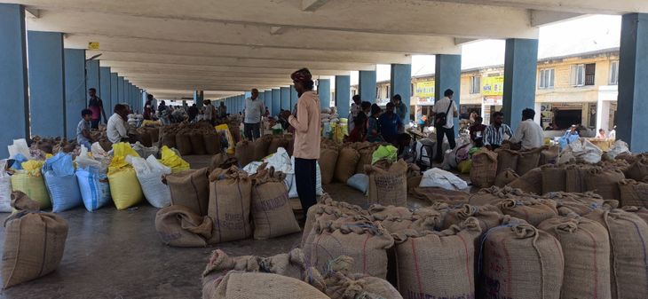 A huge influx of various commodities in Porbandar Market Yard: Prices ...