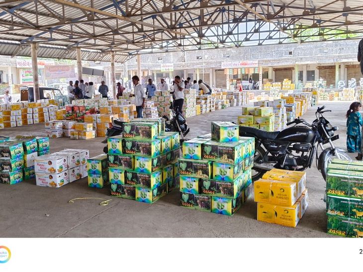 Talala Kesar Mango Yield Surges; Farmers Earn ₹100 Crore