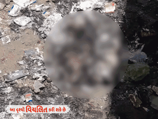 Udhana Foeticide: Maharashtra Girl Arrested; DNA Test Ordered
