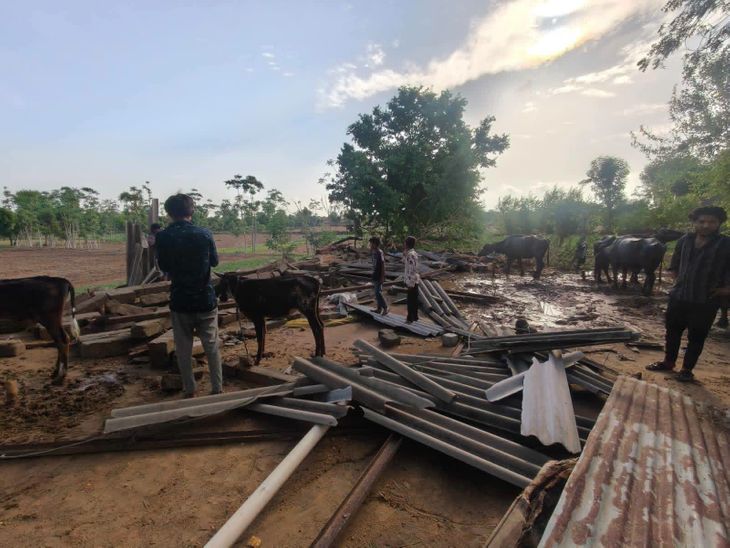 Lakhni Taluka Storm Damage: Crops, Livestock & Property Affected