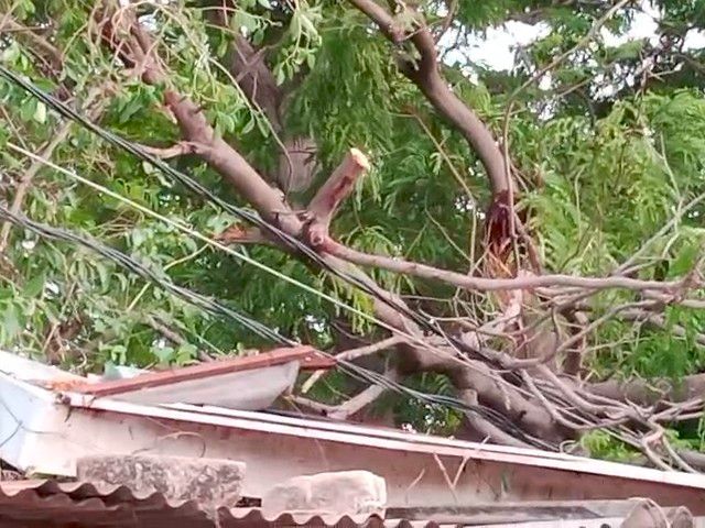 Dhrangadhra Power Outage; Tree Falls on Pole | Residents Angry