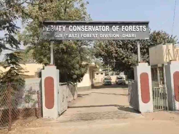 Gir Vanvibhag Policy Controversy: Rajbha Gadhvi Permit vs Maladhari ...