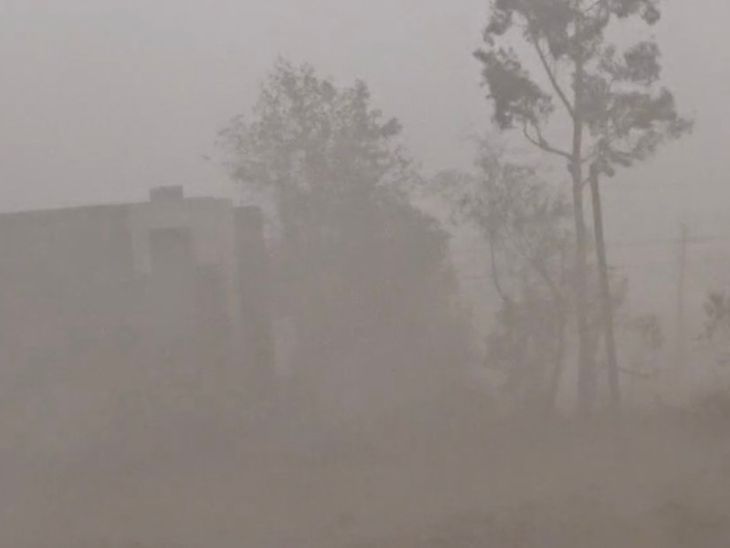 Mahisagar Rains: Trees Fall, Power Outage; More Rain Expected