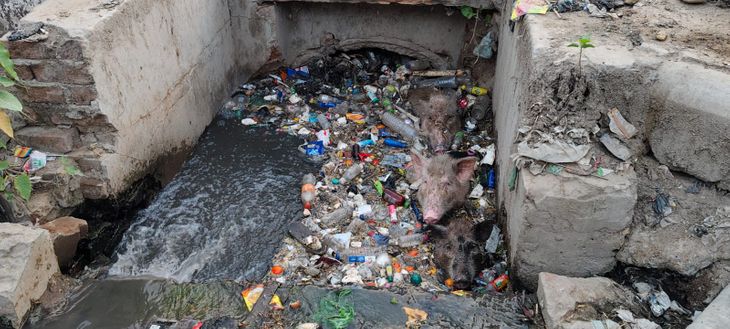 People demand to close the drains with nets