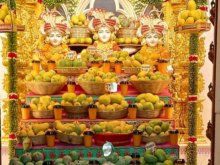 Himmatnagar BAPS Maha Amrotsav: Mango Annkoot Darshan