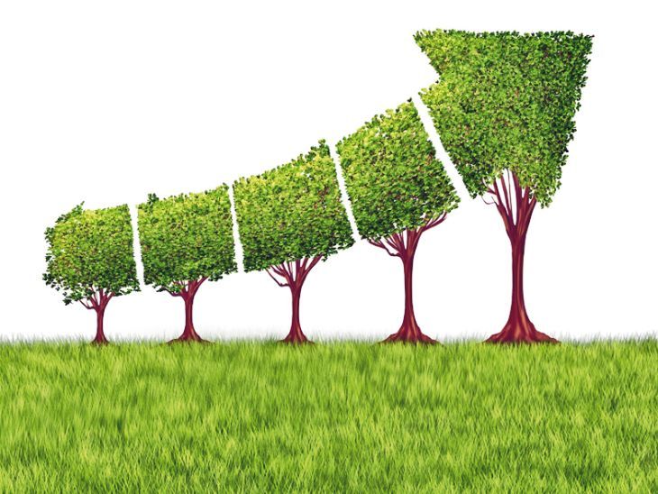 Organic Development: Grow Naturally Like Plants | Vikas Ki Vaat