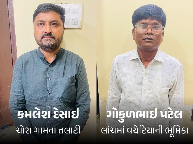 Chikhli Talati Caught Demanding Bribe for NOC, Pedhinamu