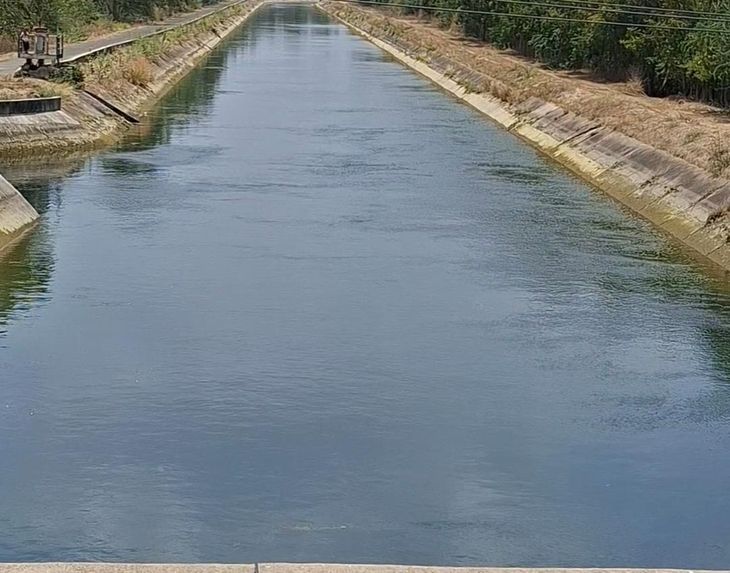 Water release begins in Amleshwar branch canal after 25 days