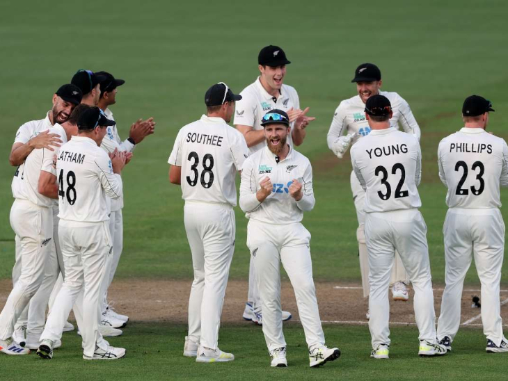 New Zealand beat England by 423 runs in Seddon Park: Tim Southee ...