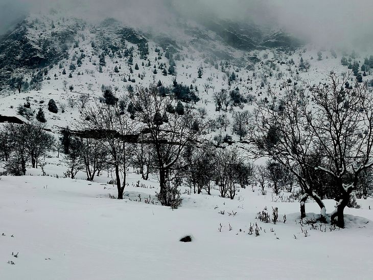 Western disturbance brings snowfall to Himalayas