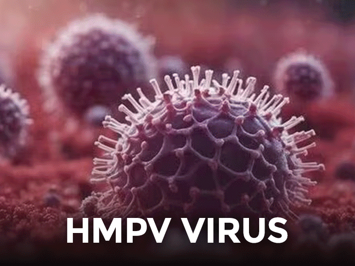 HMPV reaches India, 8-month-old in Bengaluru tested positive | Bhaskar ...