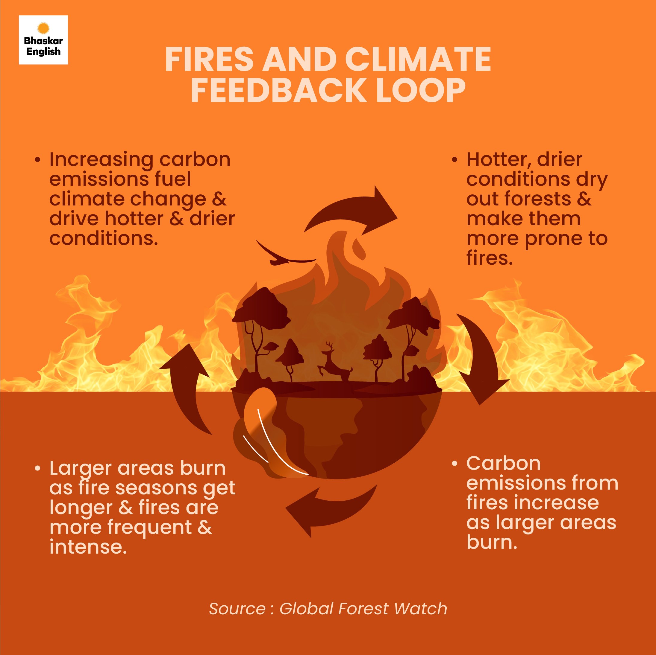 What are Santa Ana winds that caused wildfires in LA? | Bhaskar English