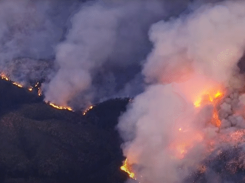 Looting threat intensifies after California fire, 20 arrested Los ...
