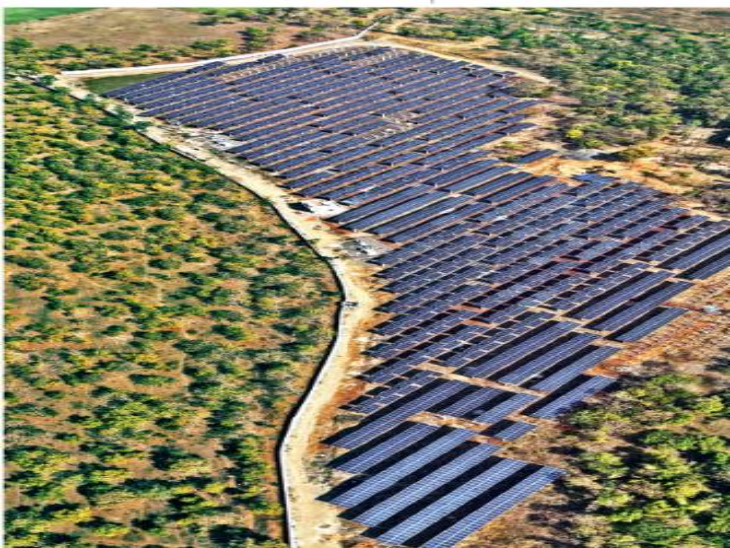 MP’s largest Agri-Voltaic solar plant installed in Sagar