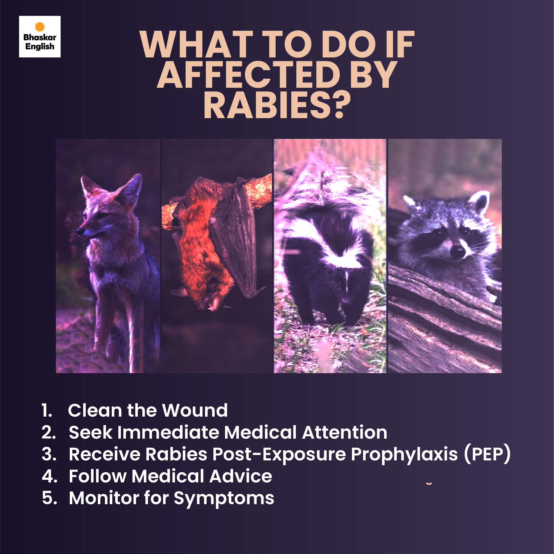Emergence of rabies among vaccinated humans