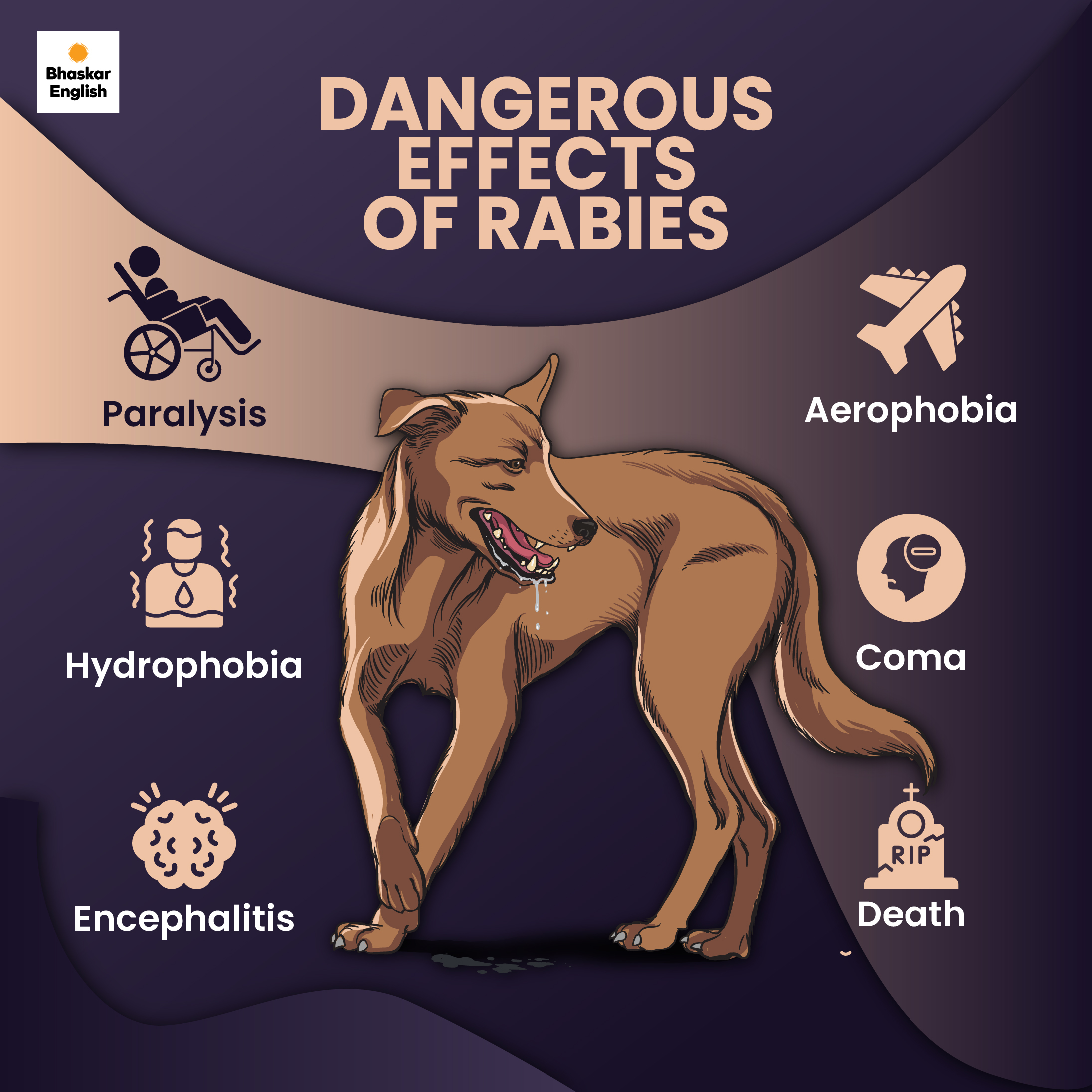 Emergence of rabies among vaccinated humans