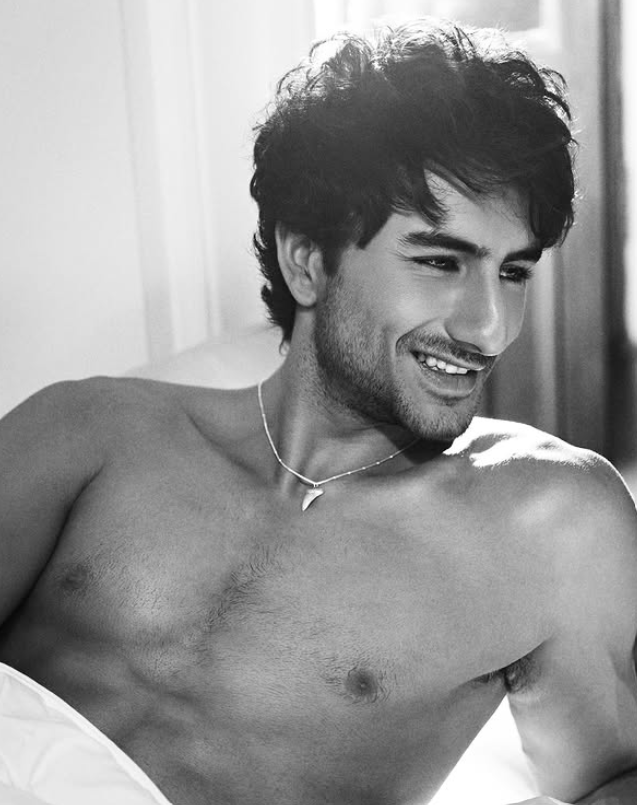 ibrahim ali khan aryan khan harnaaz kaur sandhu and more the debutants of 2025 | Bhaskar English