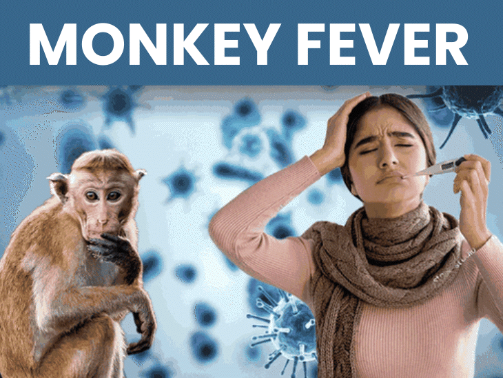 Monkey Fever- The Rising Threat in India