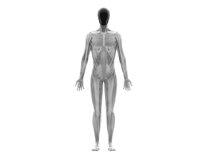 A robot that looks exactly like a human being | Bhaskar English