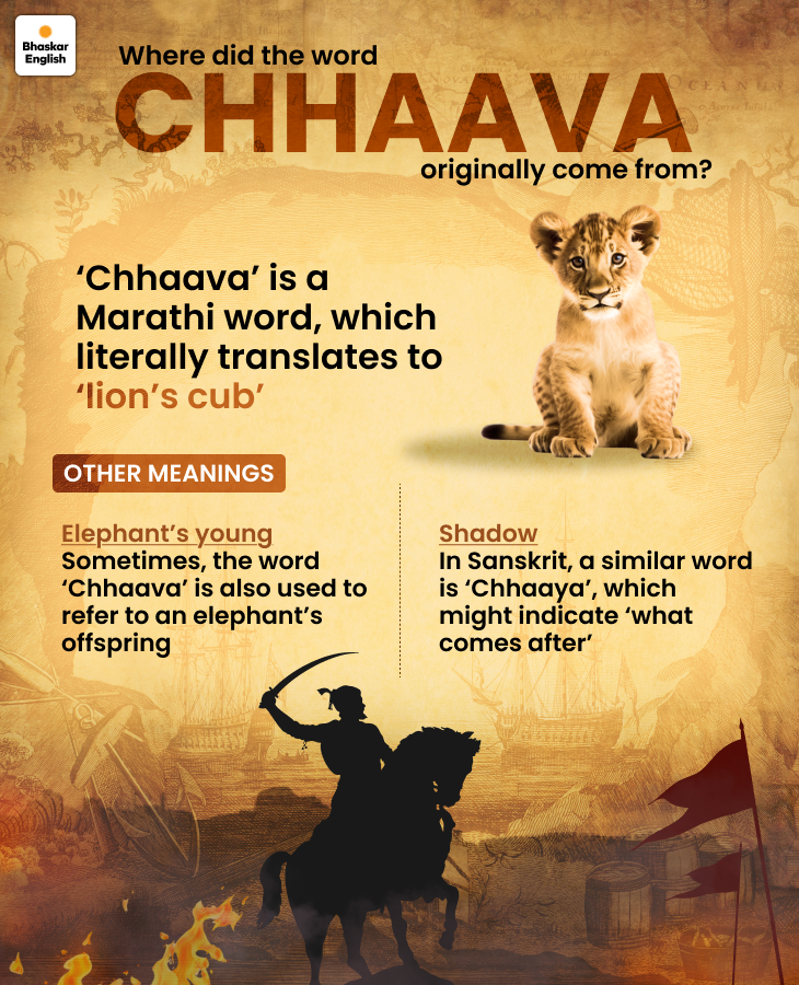 Vicky Kaushal's 'Chhaava' crosses ₹340 crore milestone: Decoding ...