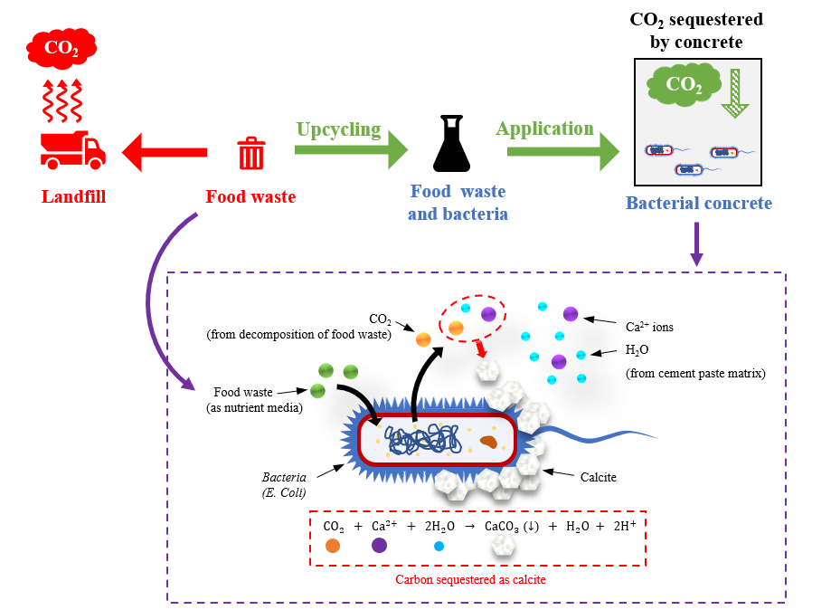 IIT Indore researchers turn food waste into stronger, greener concrete ...